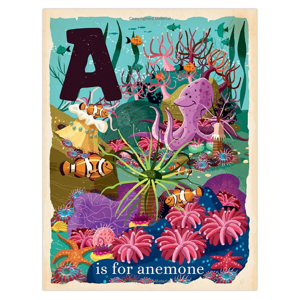 O Is for Ocean – Gum Tree