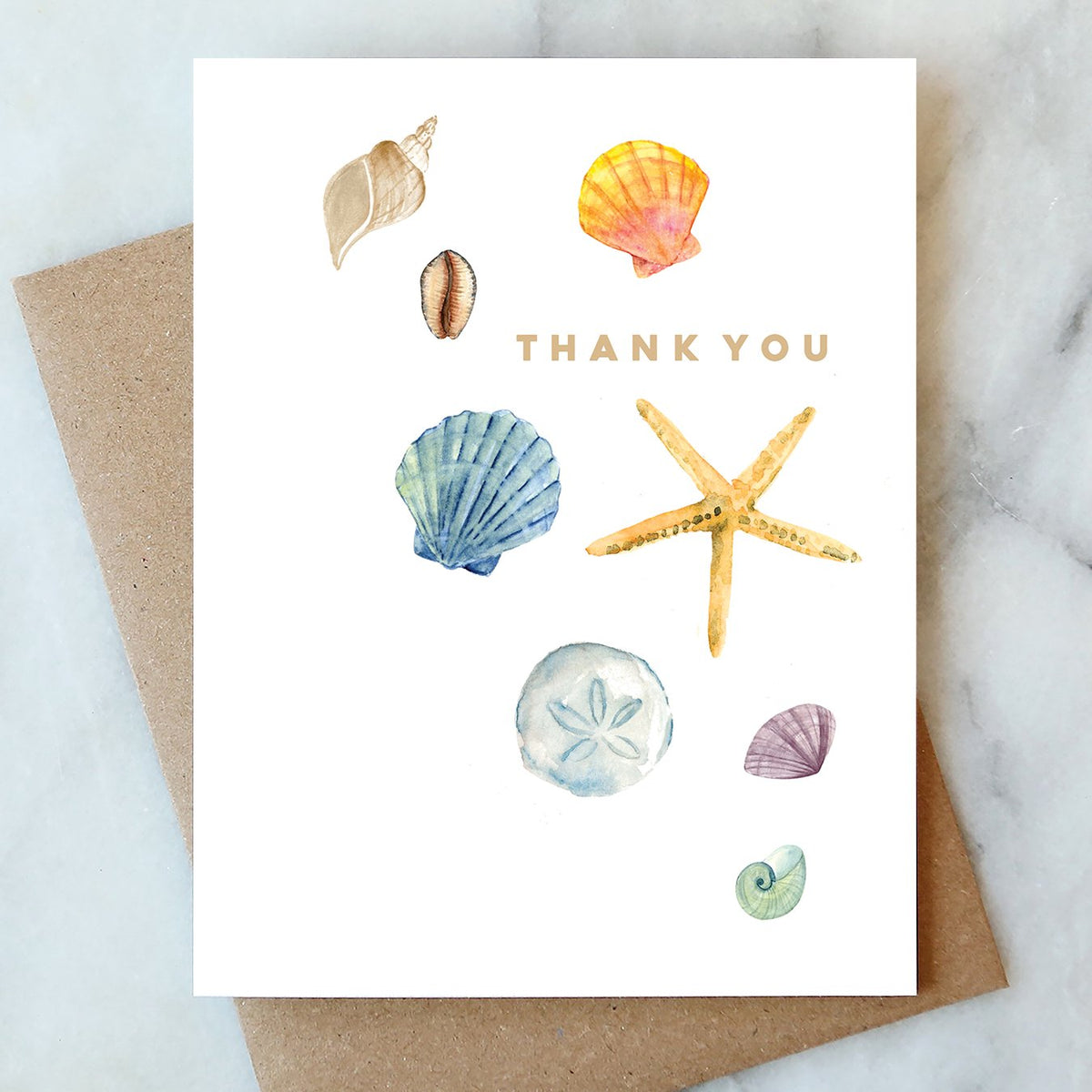 Shells Thank You Card – Gum Tree
